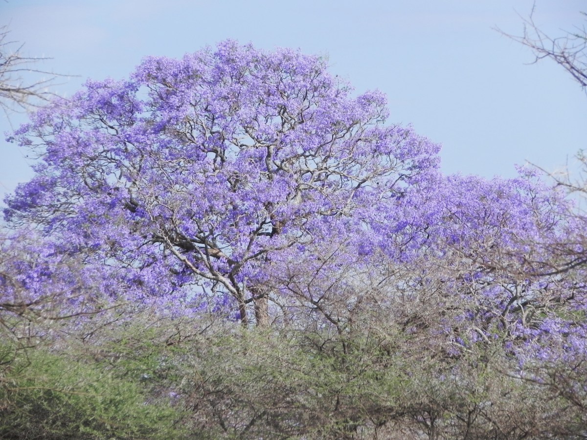 Powers Galleries – Powers Galleries